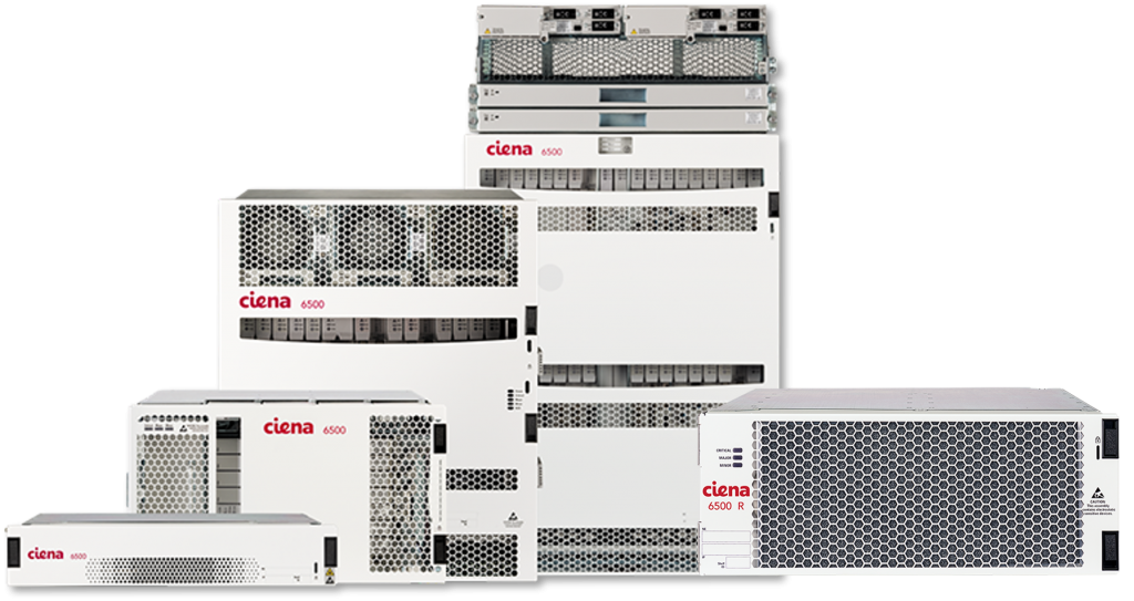 CIENA NTK538DS Cards - TELECOMCAULIFFE